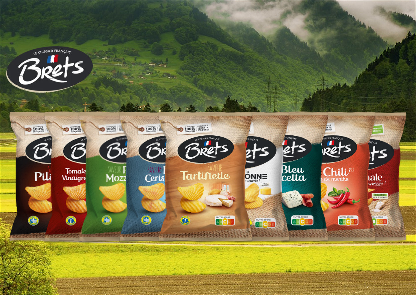 Brets Premium Chips - French Artisan Flavors | Flavors of Europe – Les ...